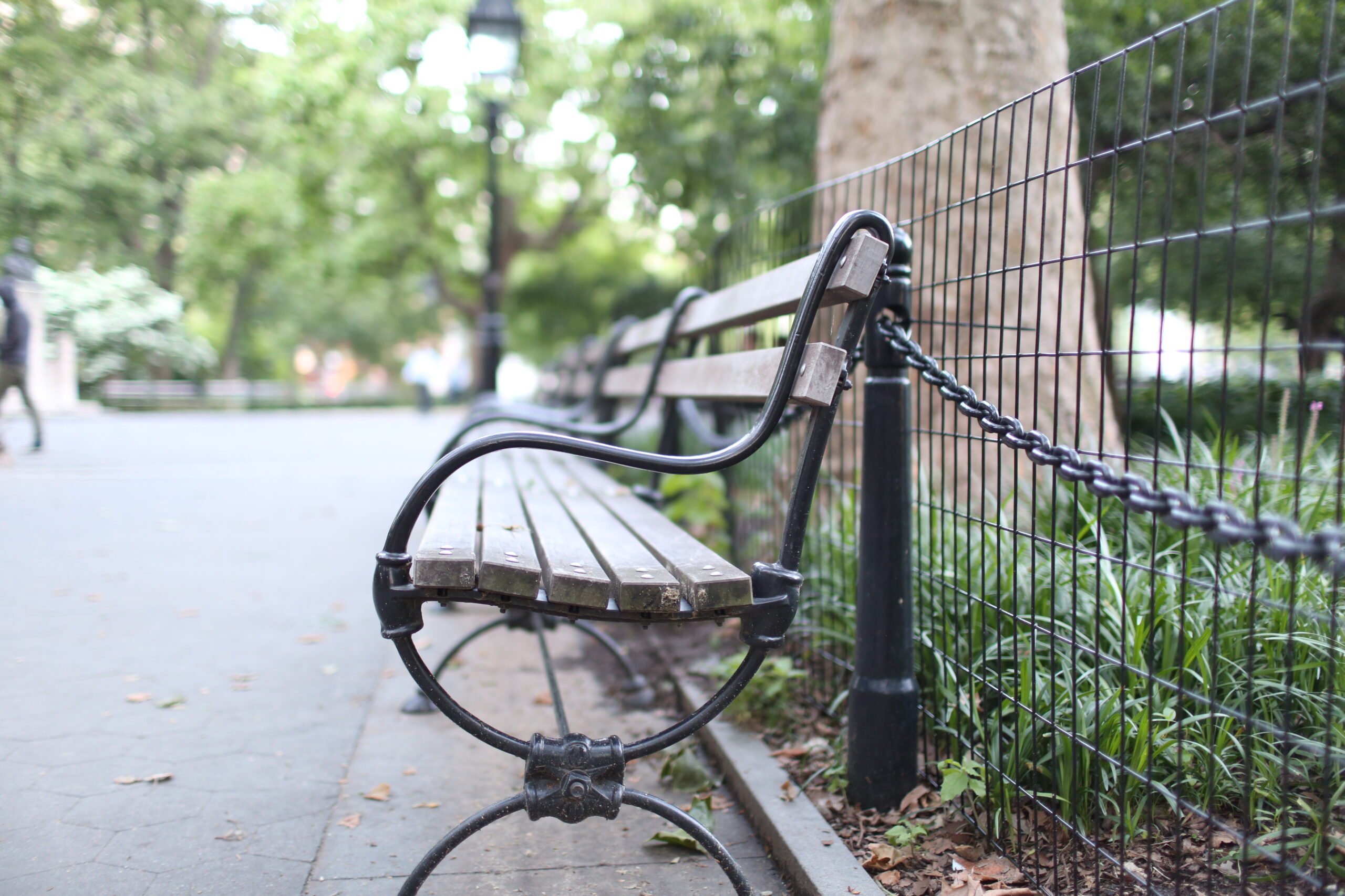 Dedication Programs - Washington Square Park